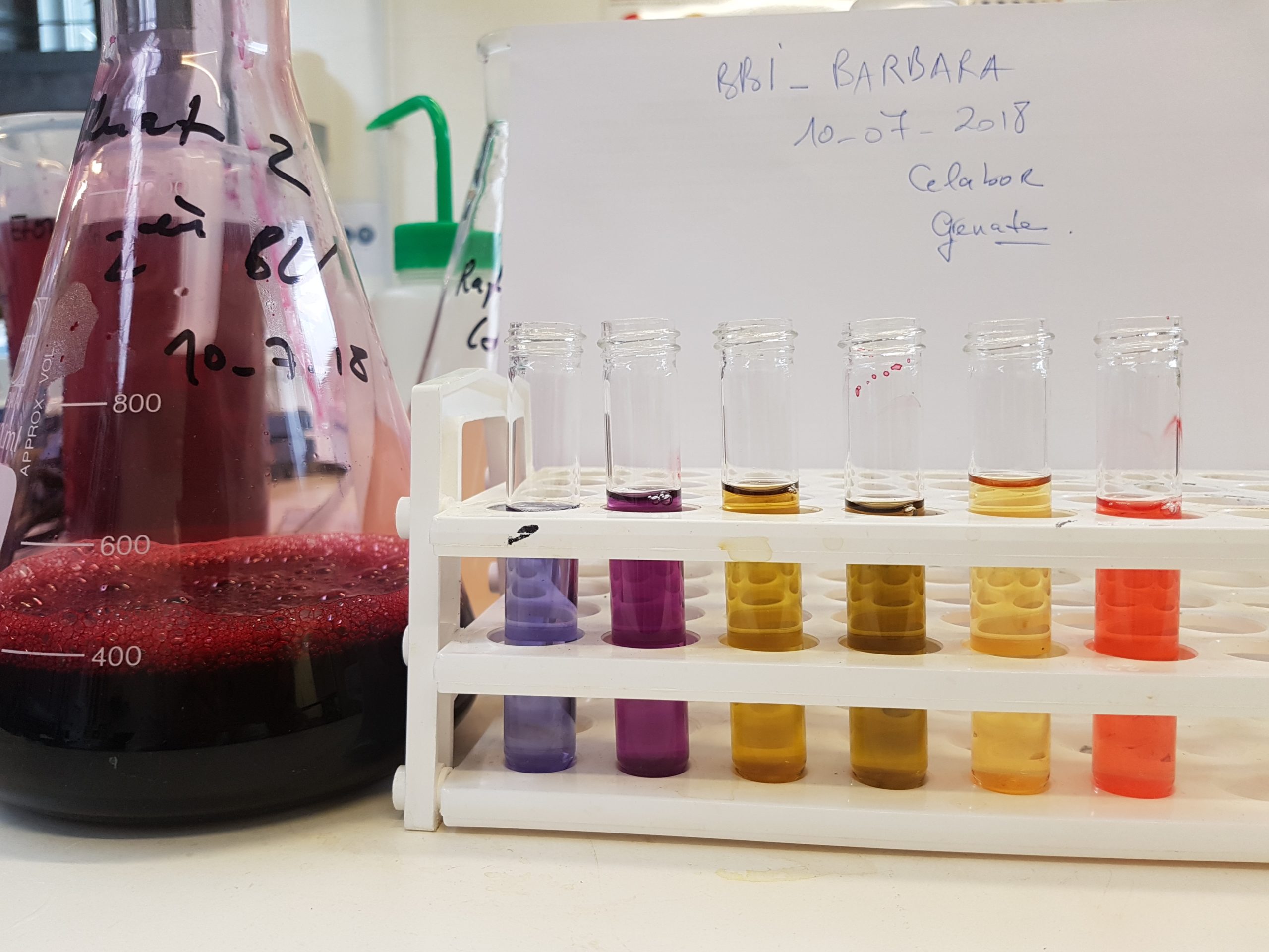 FEDIT-AITIIP – 3D printed parts from organic raw materials | EARTO