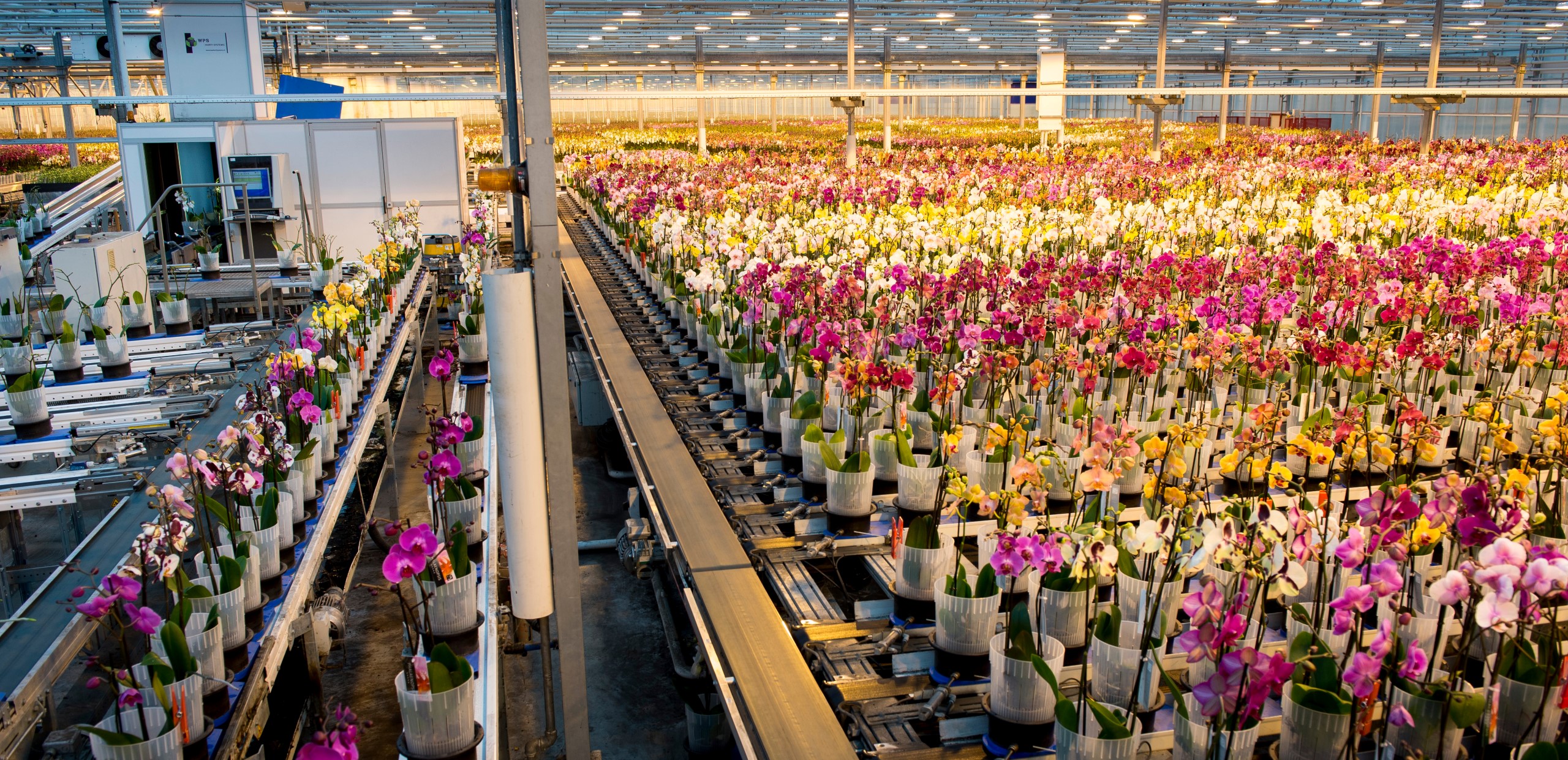 TNO – Smartscan 3d: scanning & analyzing the structure of plants | EARTO