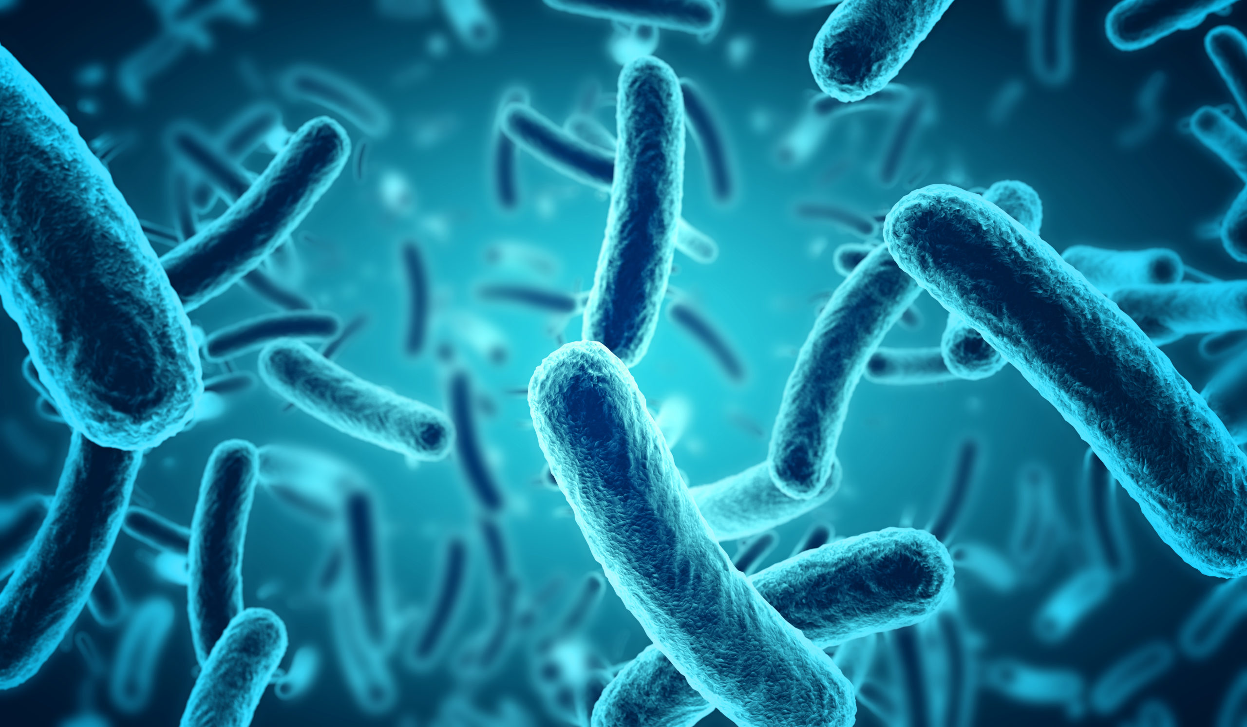 NIC – New antibacterials on their way to success | EARTO